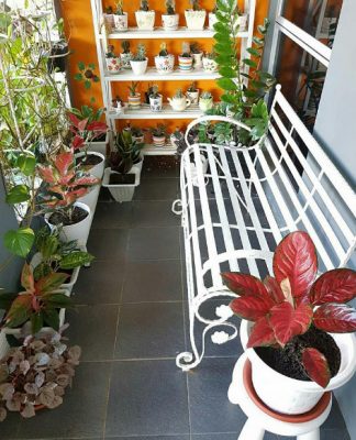 Mendekorasi Teras Rumah Dengan Bunga | Style Warnabiru.com